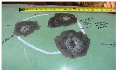 State-of-the-Art Review of the Performance of FBE Pipeline Coatings | PRCI